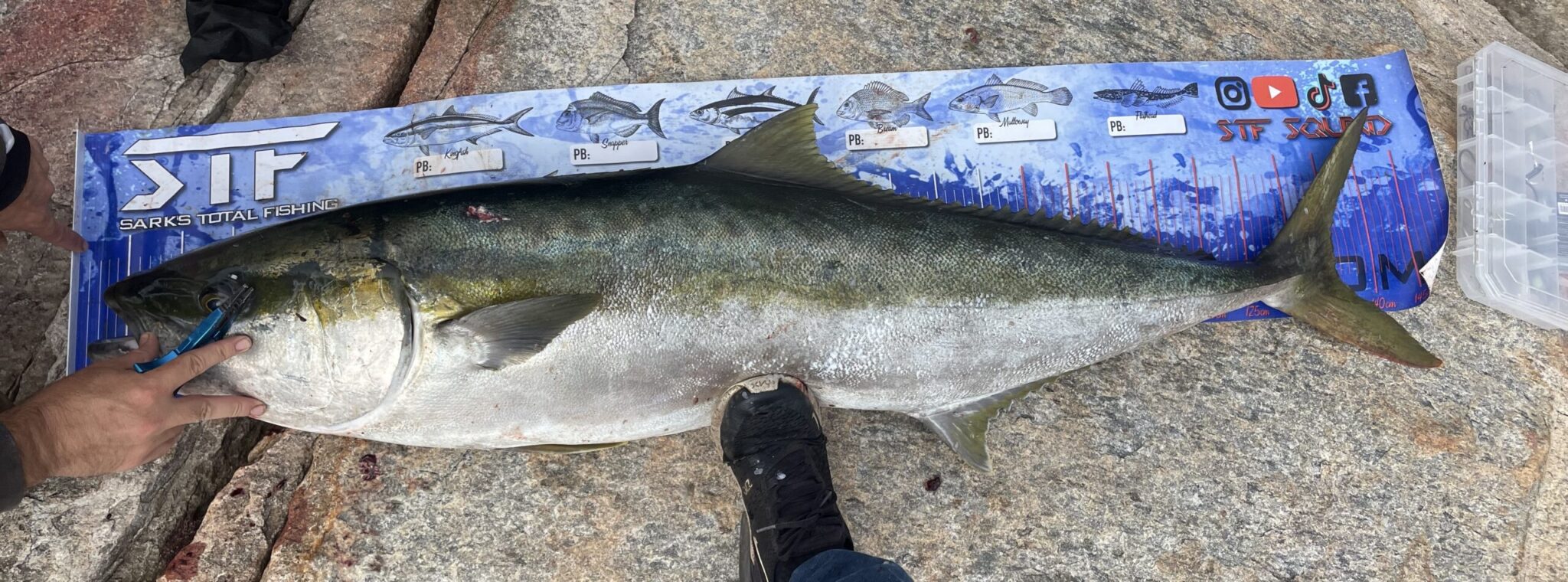 24kg KINGFISH off the ROCKS! - Sark's Total Fishing